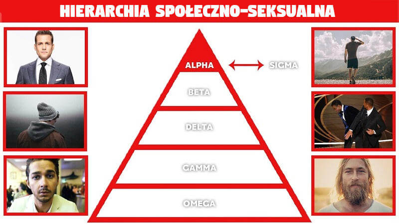 Hierarchia społeczno-seksualna – Vox Day